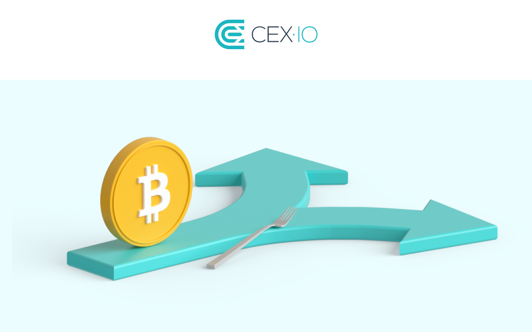What is a Fork? - CEX.IO University